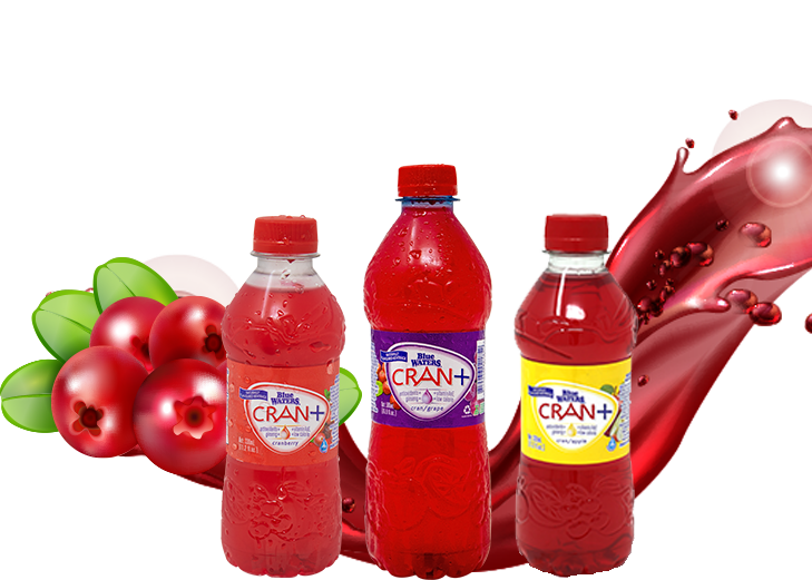 Home | Blue Waters Products Limited